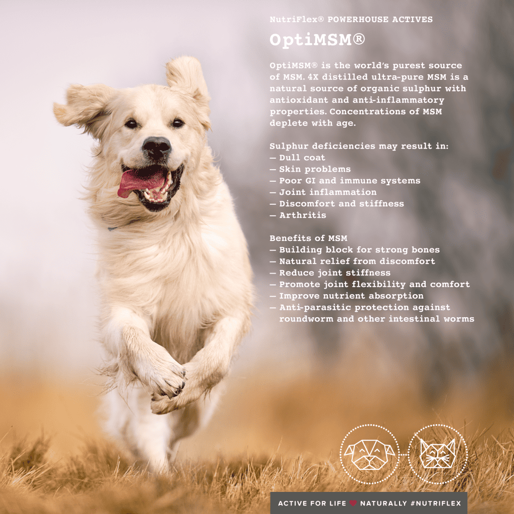 Hip And Joint Care Advanced | Collagen | NutriFlex
