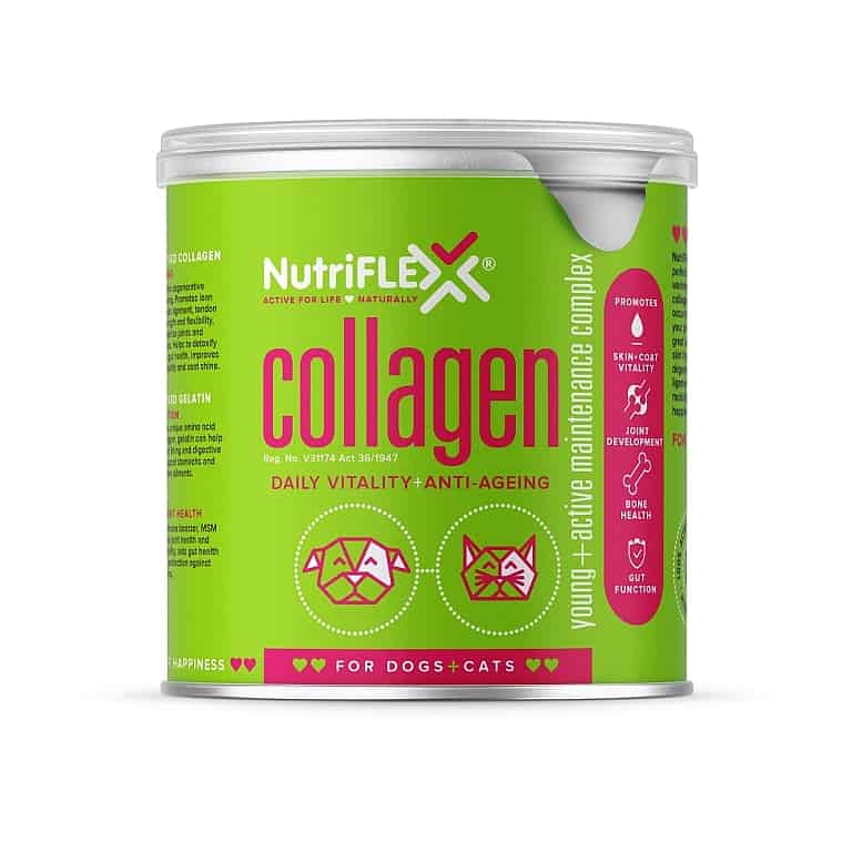 Pet Collagen For Dogs, Cats & Horses | NutriFlex®