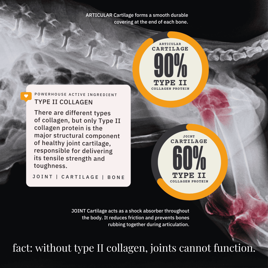 Hip And Joint Care Advanced | Collagen | NutriFlex