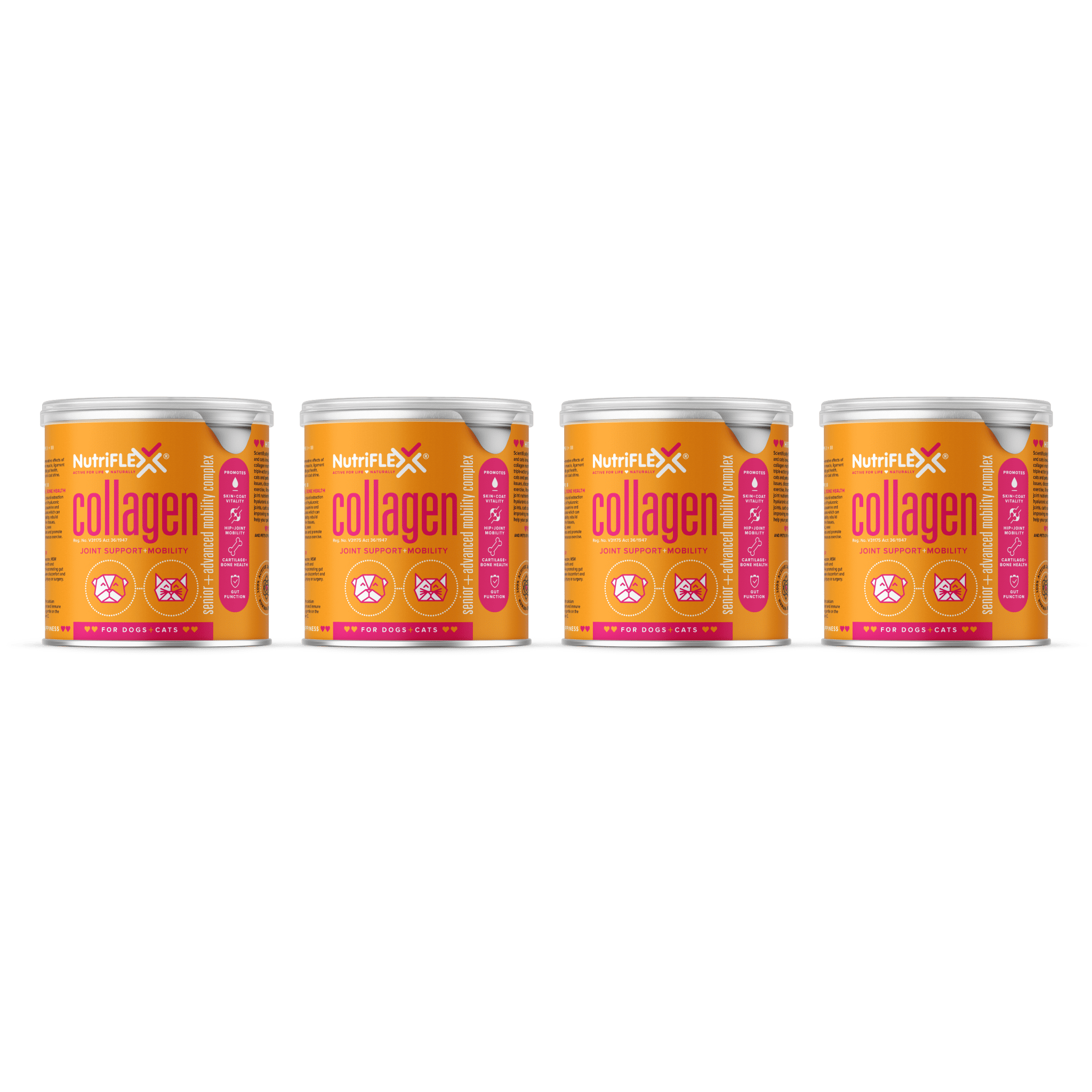 Pet Collagen For Dogs, Cats & Horses | NutriFlex®