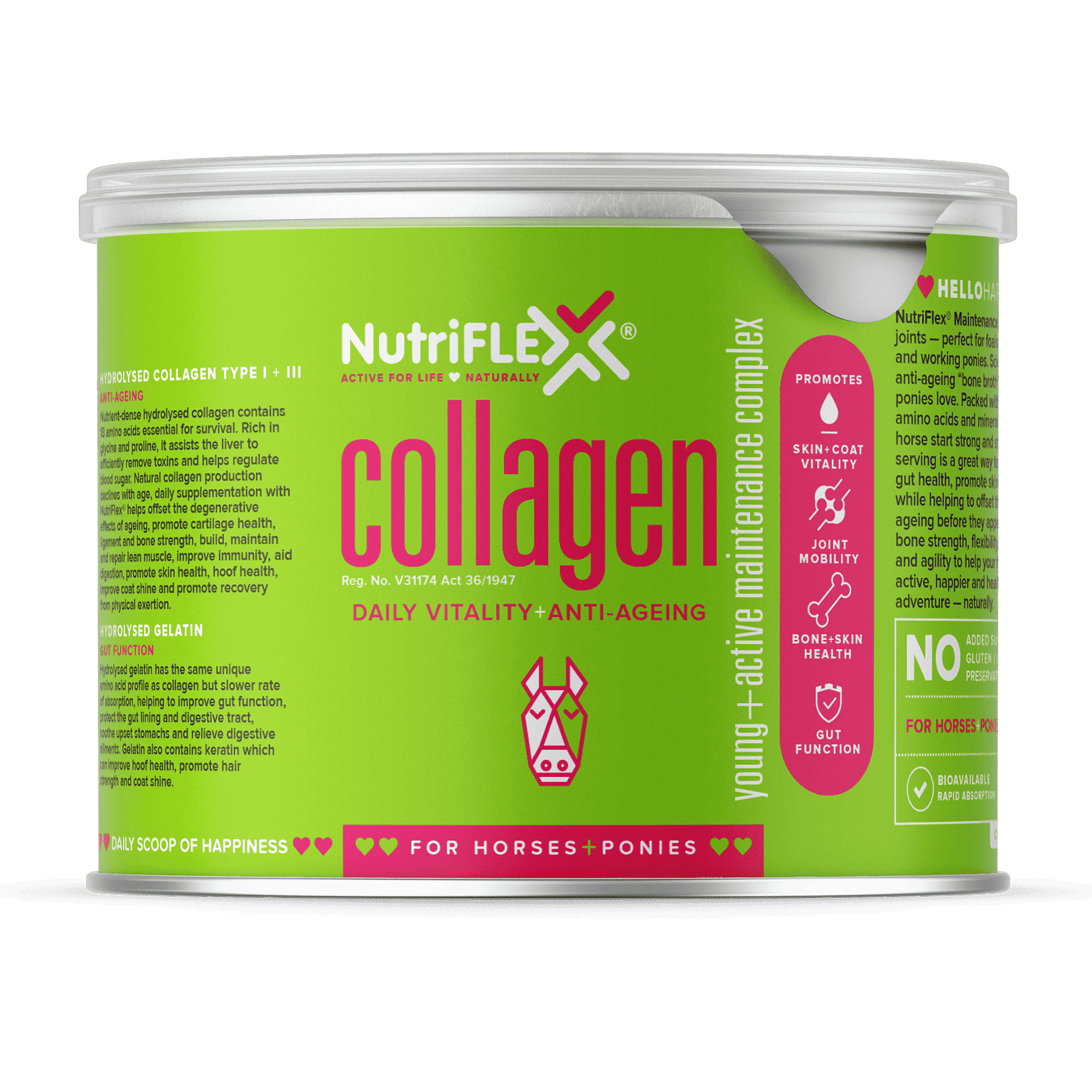 Collagen For Dogs, Cats & Horses | Dog Supplements & Horse Supplements ...