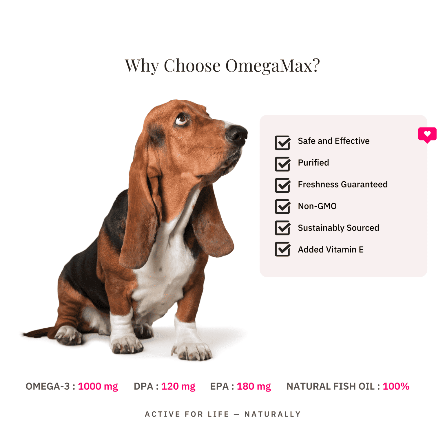 OmegaMax Omega 3 For Dogs & Cats | 120 X 1000mg | NutriFlex