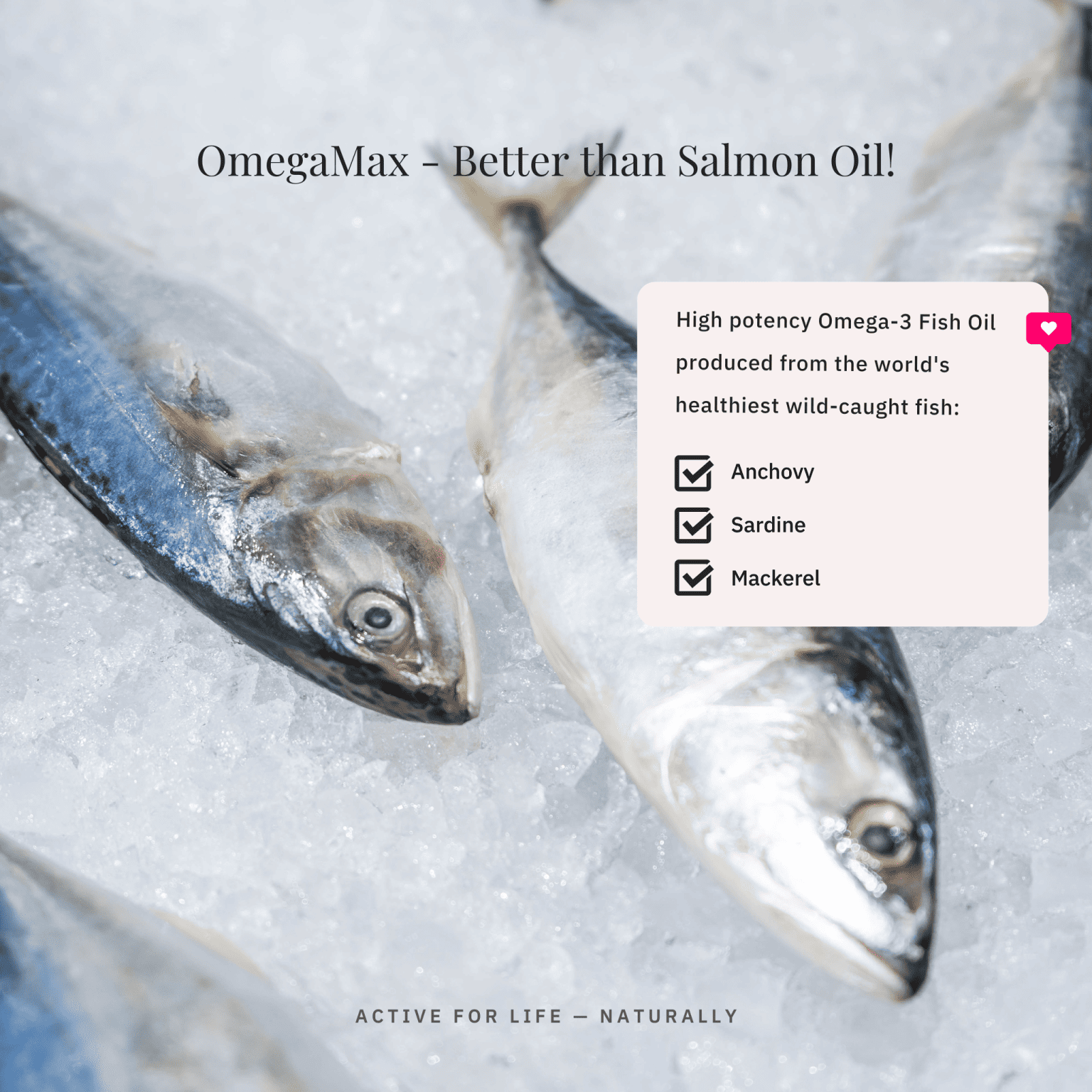 OmegaMax Omega 3 For Dogs & Cats | 120 X 1000mg | NutriFlex