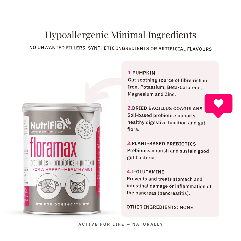 FloraMax Probiotic For Dogs And Cats - Digestive Health And Gut Balance | NutriFlex