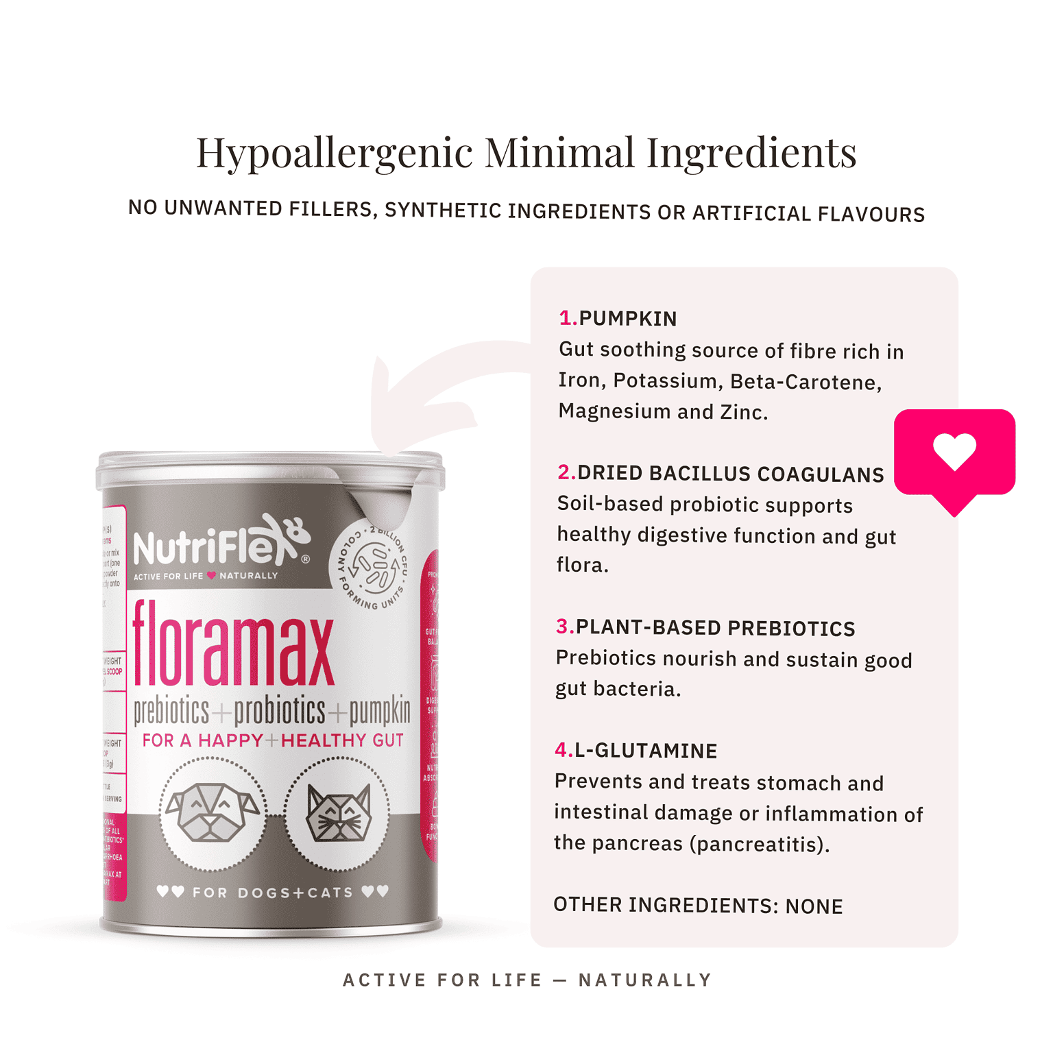 FloraMax Probiotic For Dogs And Cats - Digestive Health And Gut Balance ...