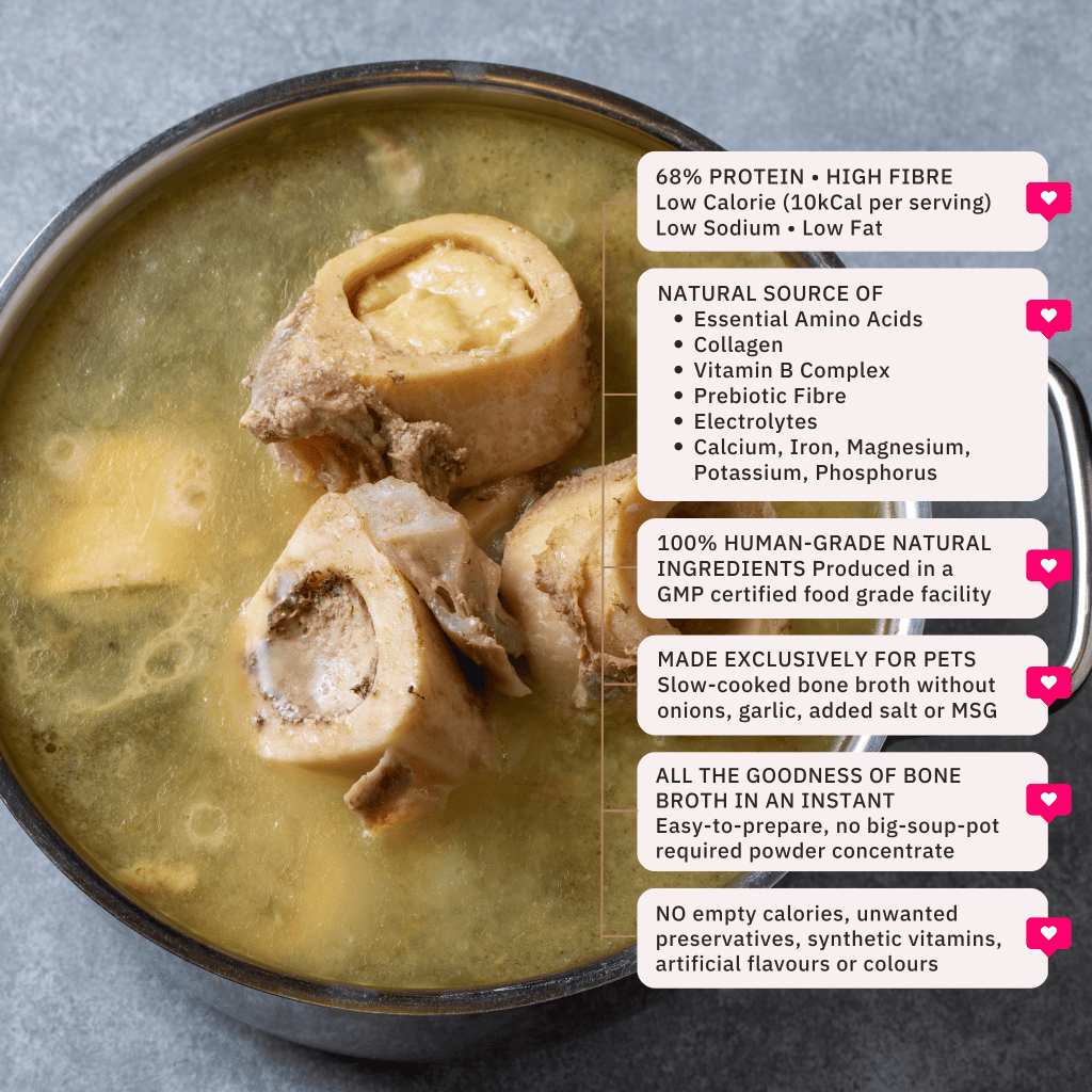 Instant Beef Bone Broth For Dogs & Cats | 60 Servings | NutriFlex