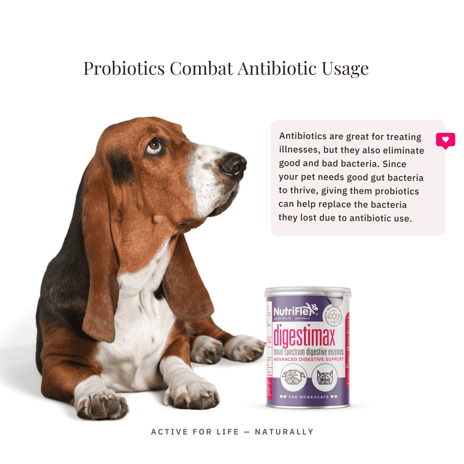 DigestiMax Extra-Strength Probiotics For Dogs And Cats | NutriFlex