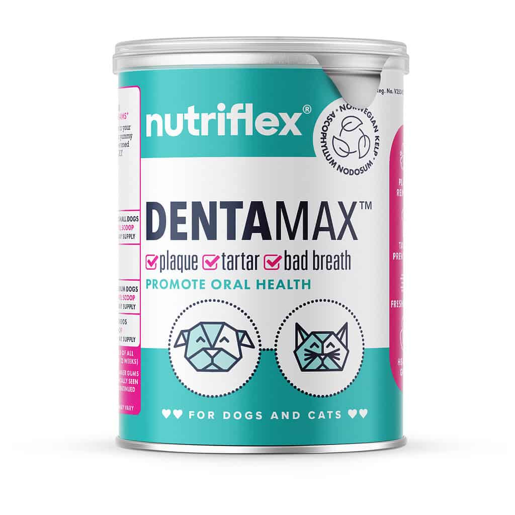 DentaMax Oral Hygiene Dental Powder For Dogs & Cats | NutriFlex