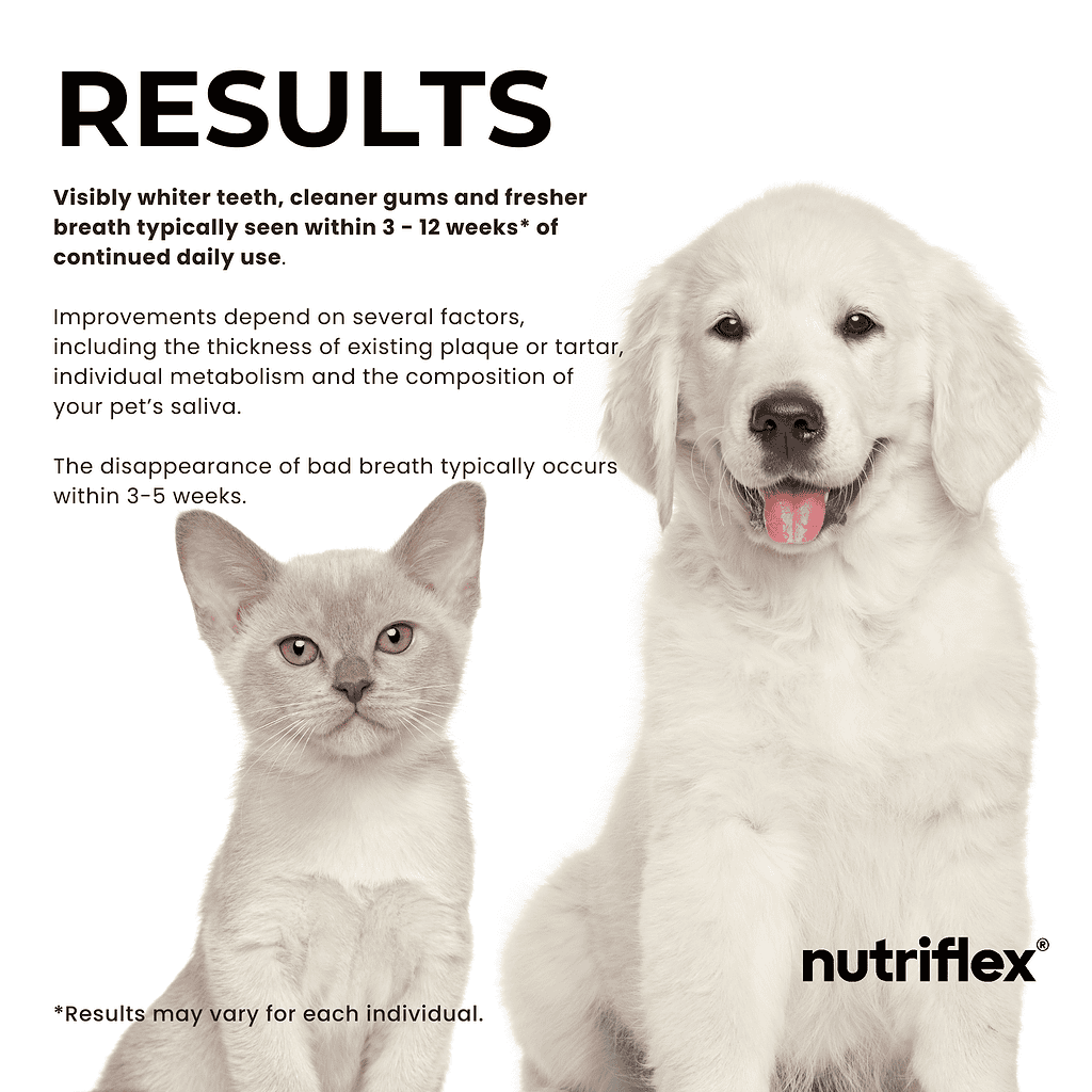 DentaMax Dental Powder For Dogs And Cats 180g | NutriFlex