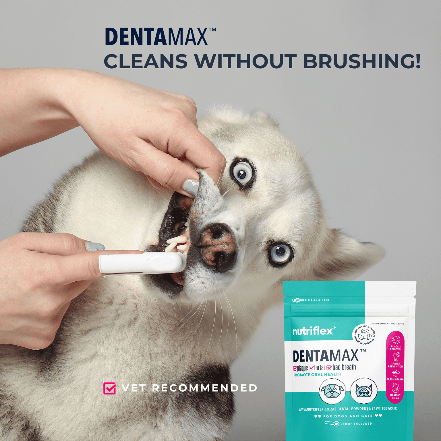 DentaMax Oral Hygiene Dental Powder For Dogs & Cats | NutriFlex