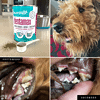 DentaMax Powder For Dogs And Cats 180g | NutriFlex