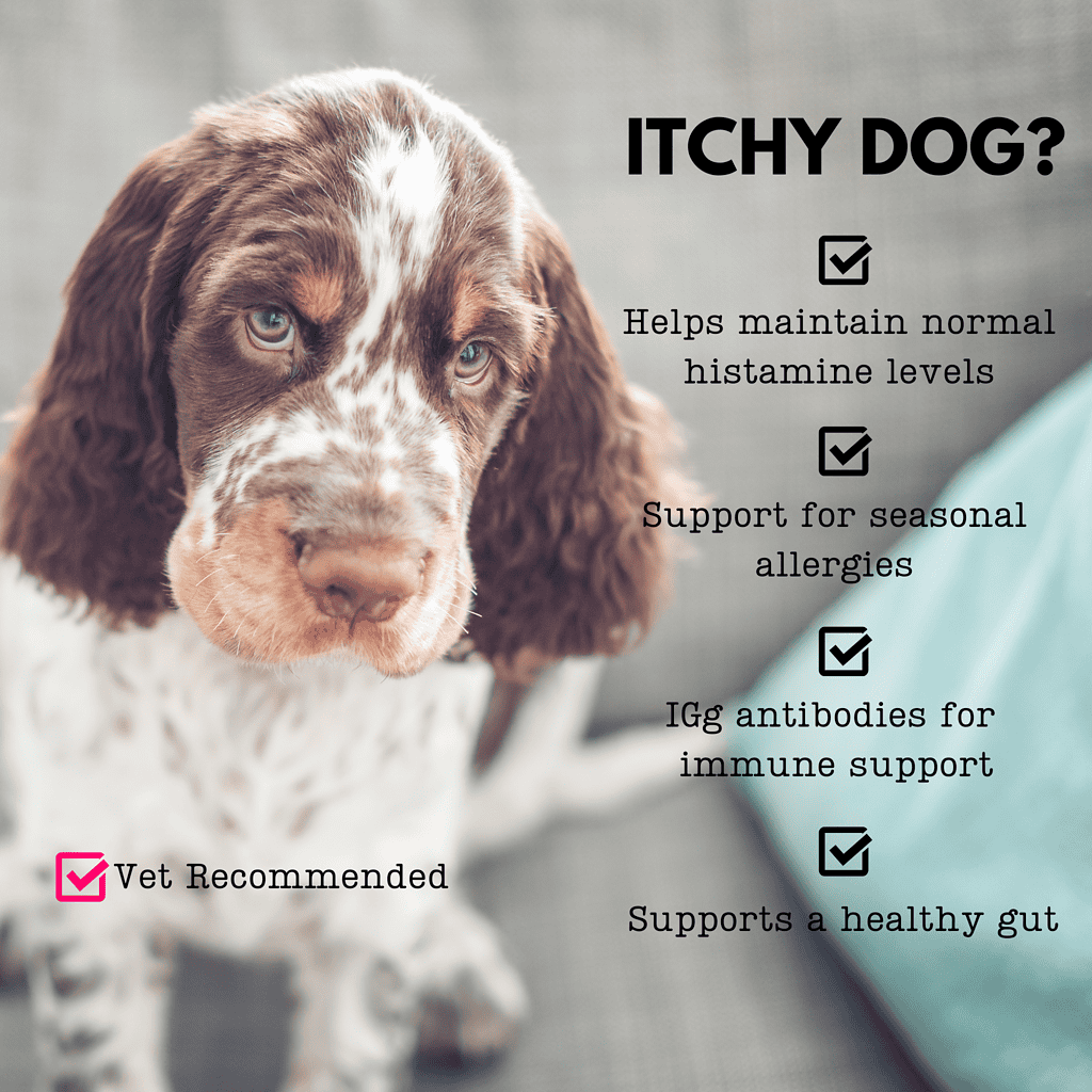 ImmuniMax Colostrum For Dogs - Immune Boost And Balance | NutriFlex