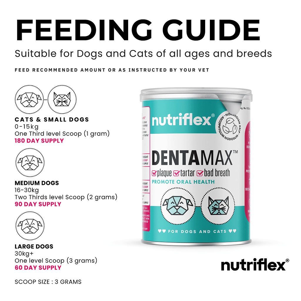 DentaMax Oral Hygiene Dental Powder For Dogs & Cats | NutriFlex