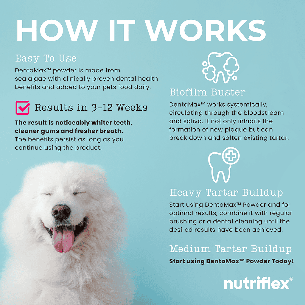 DentaMax Oral Hygiene Dental Powder For Dogs & Cats | NutriFlex