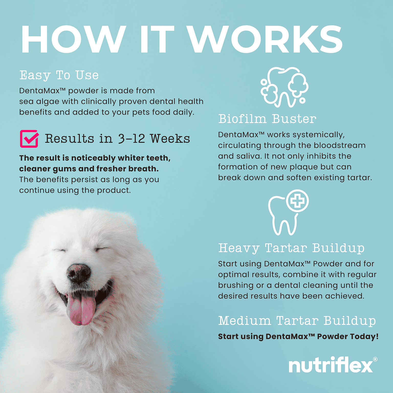 DentaMax Oral Hygiene Dental Powder For Dogs & Cats | NutriFlex